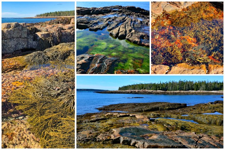 Things to Do in Acadia National Park - Forget Someday Travel Blog