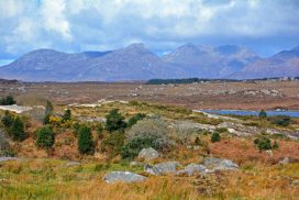 Ireland Road Trip - Top 10 Best Scenic Drives in Ireland Not to be Missed!