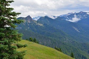 Exploring Hurricane Ridge (Washington) - Forget Someday