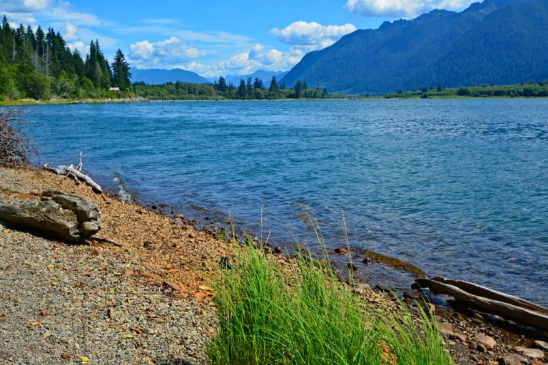 Lake Quinault and the Quinault Rain Forest - Olympic Peninsula WA
