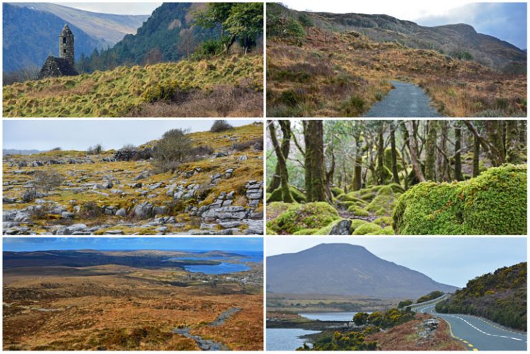 The 6 National Parks of Ireland - Learn More About What Each Park Offers