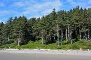 Second Beach - Where the Forest Meets the Sea