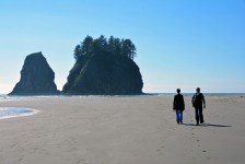 Second Beach - Where the Forest Meets the Sea