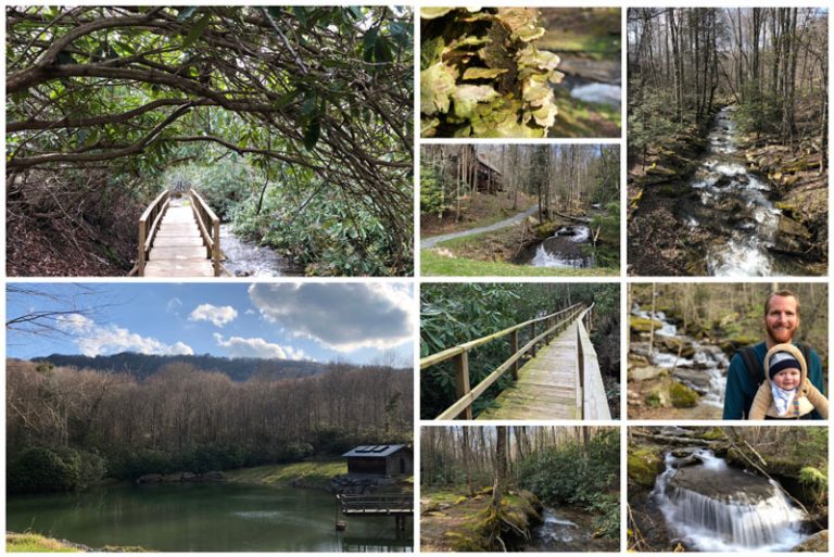 Things to Do In and Near Beech Mountain NC