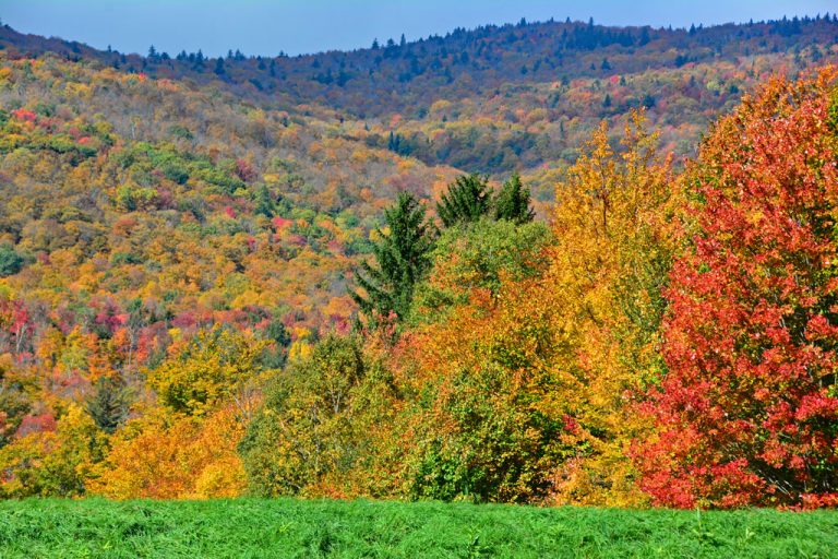 Fall in Vermont - Best Places to Visit - Forget Someday Travel Blog
